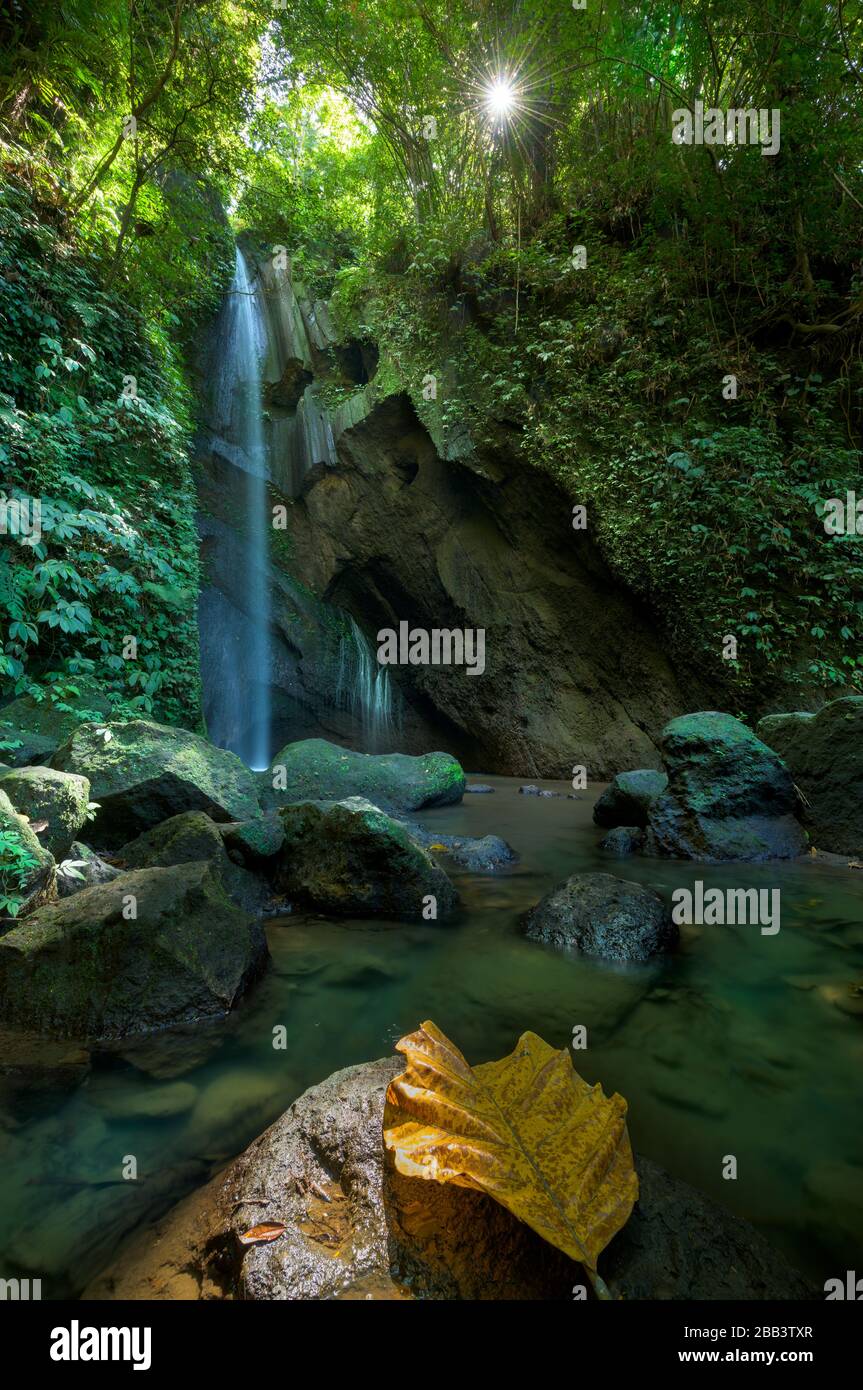 Pengempu waterfall and natural pool, with yellow palm leaf in central ...