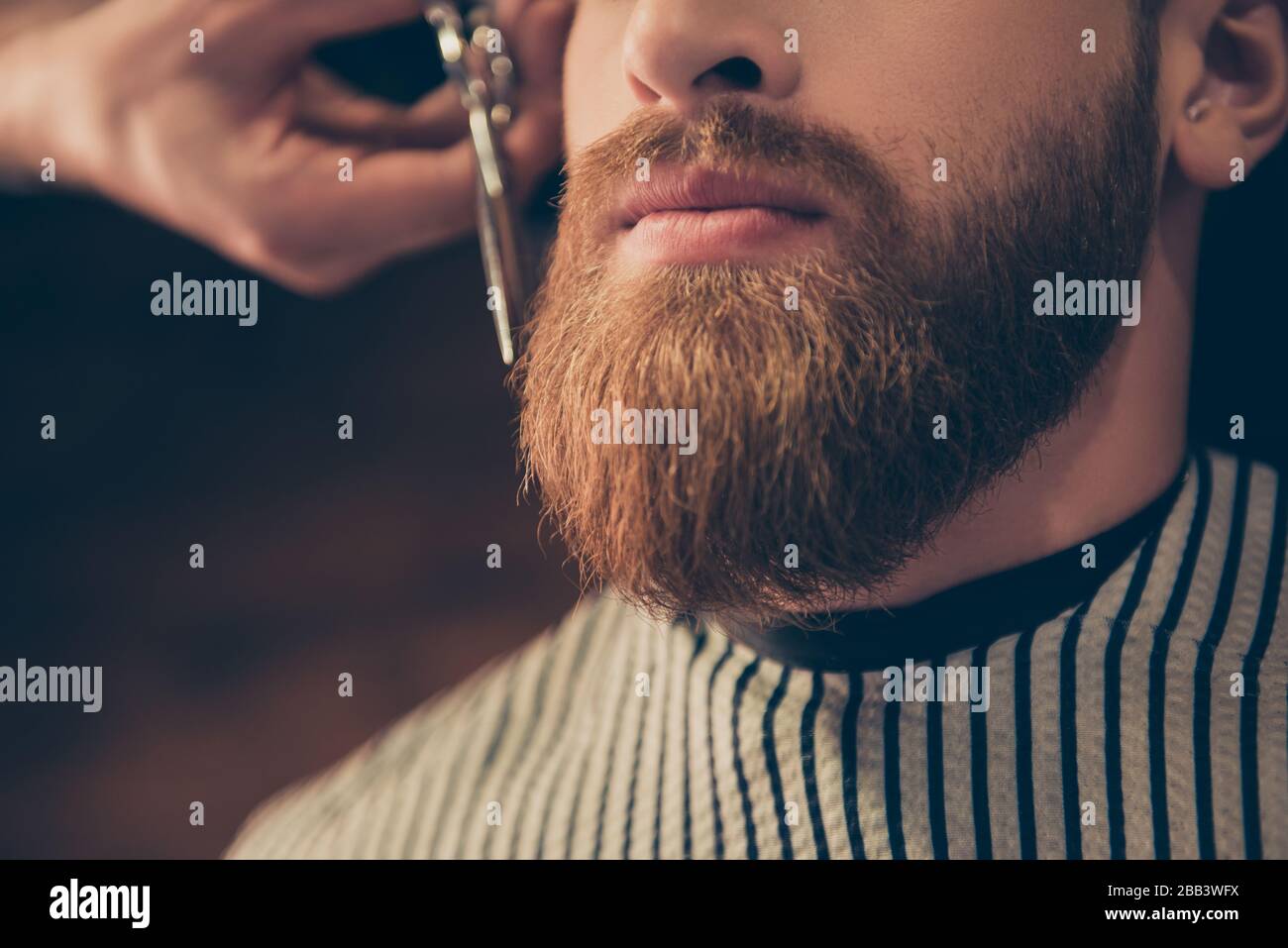 Advertising and barber shop concept. Close up cropped photo of a ...
