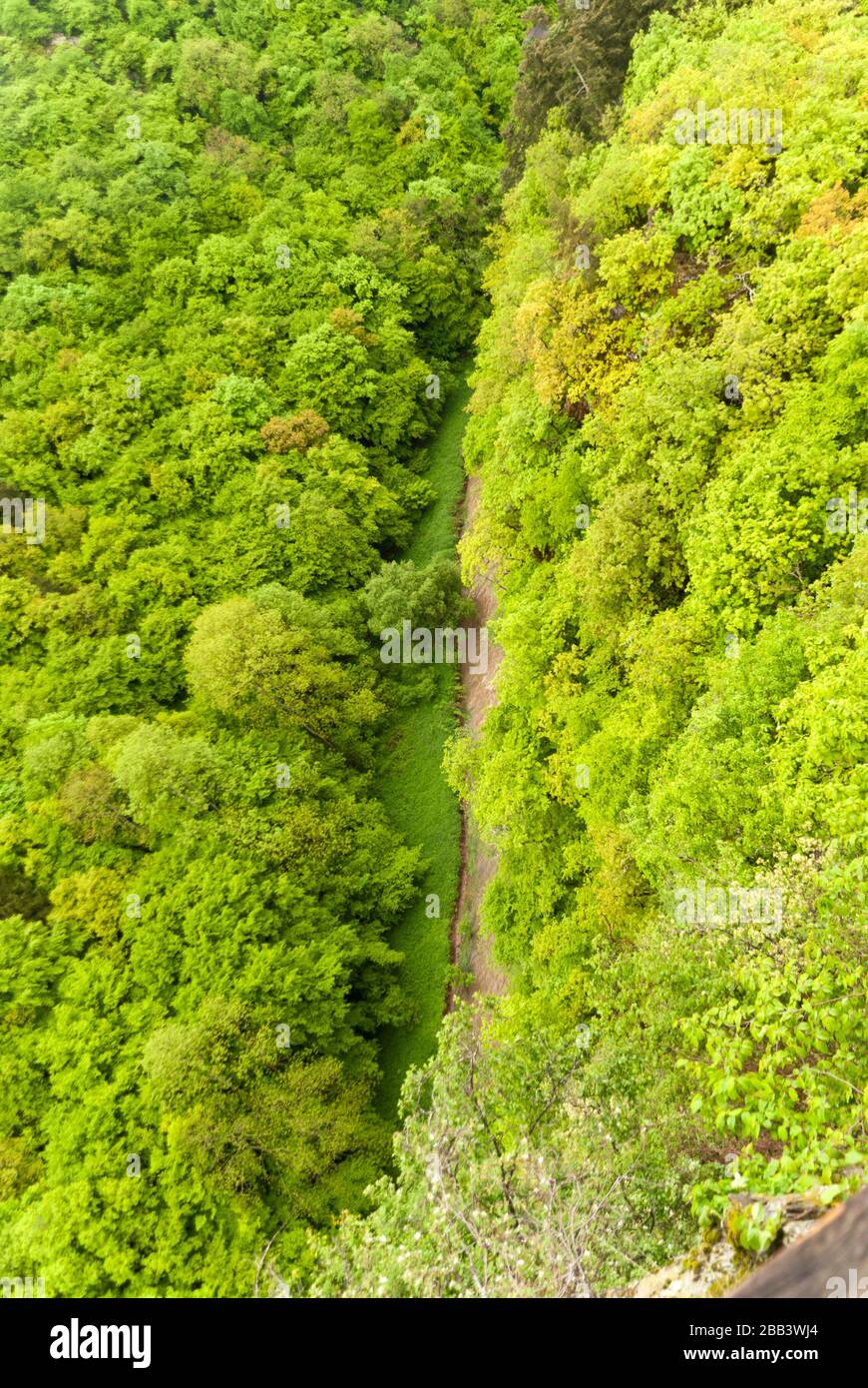 On the Hiking Trail Eifelsteig in the Eifel, Germany Stock Photo - Alamy