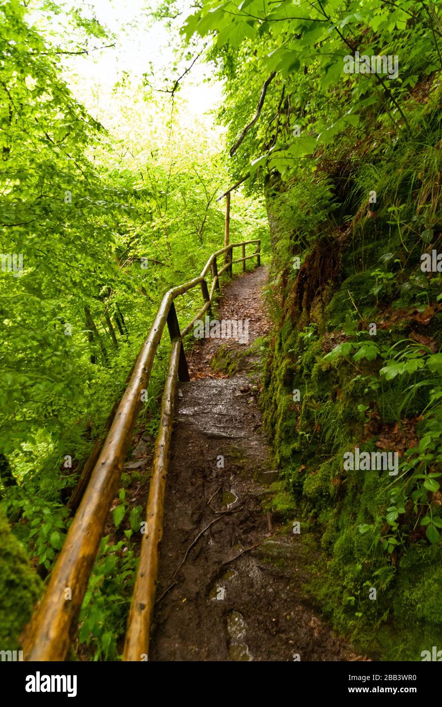 On the Hiking Trail Eifelsteig in the Eifel, Germany Stock Photo - Alamy