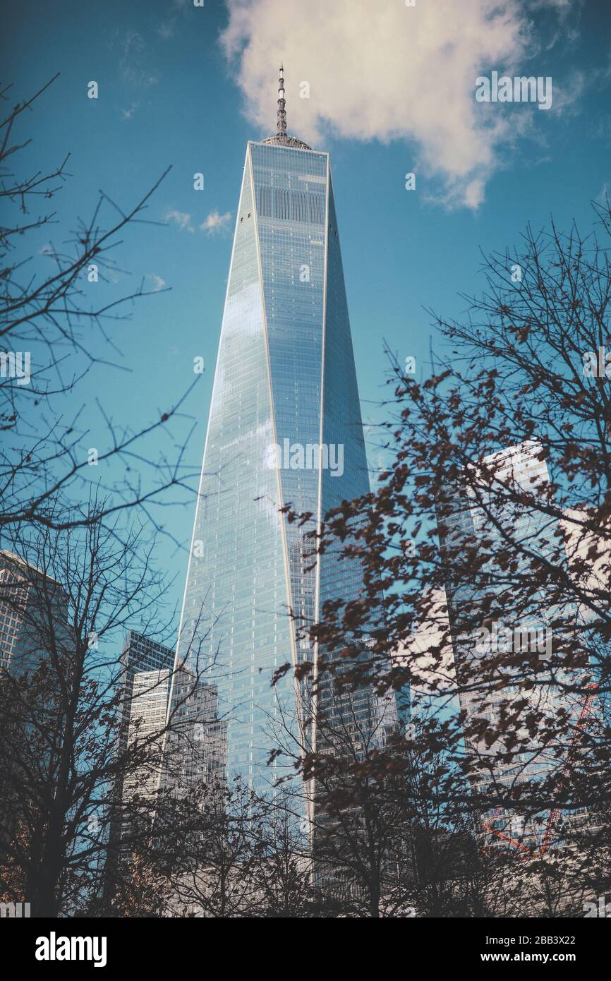 One World Trade Center Between Trees Stock Photo - Alamy