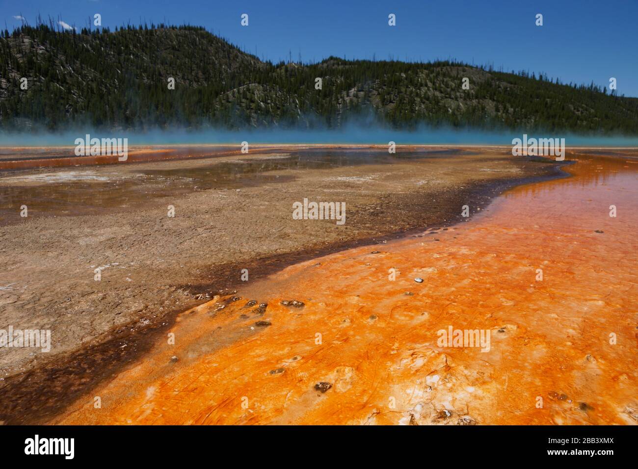 Grand Prismatic Pool in Yellowstone National Park in Wyoming Stock ...