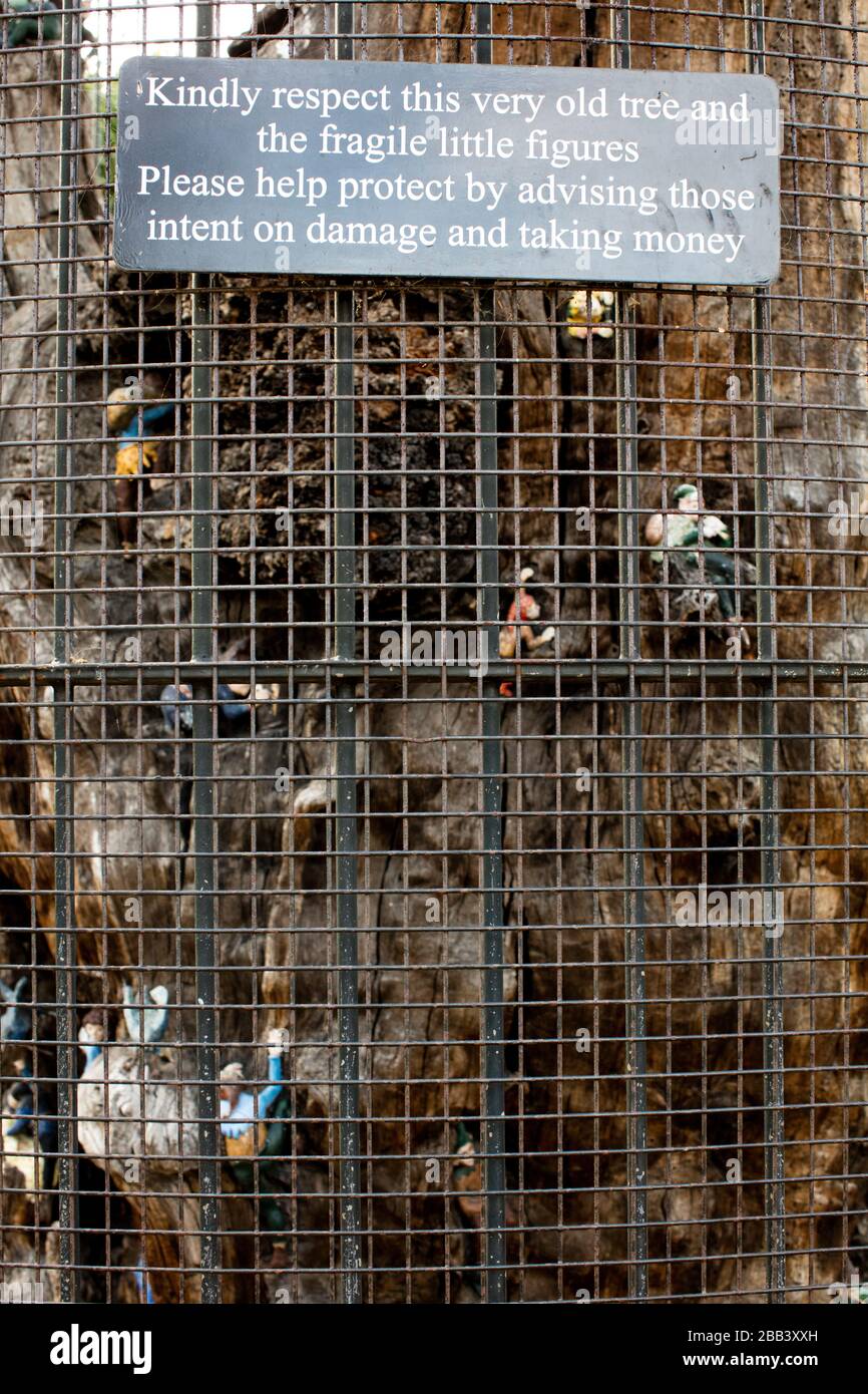 The Elfin Oak, in Kensington Gardens, a 900 year old tree decorated ...
