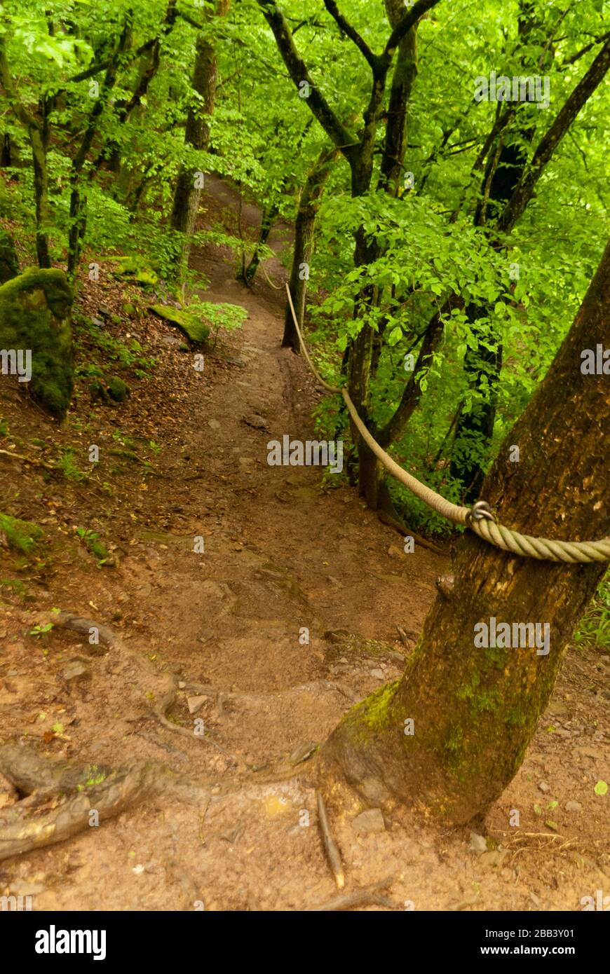 On the Hiking Trail Eifelsteig in the Eifel, Germany Stock Photo - Alamy