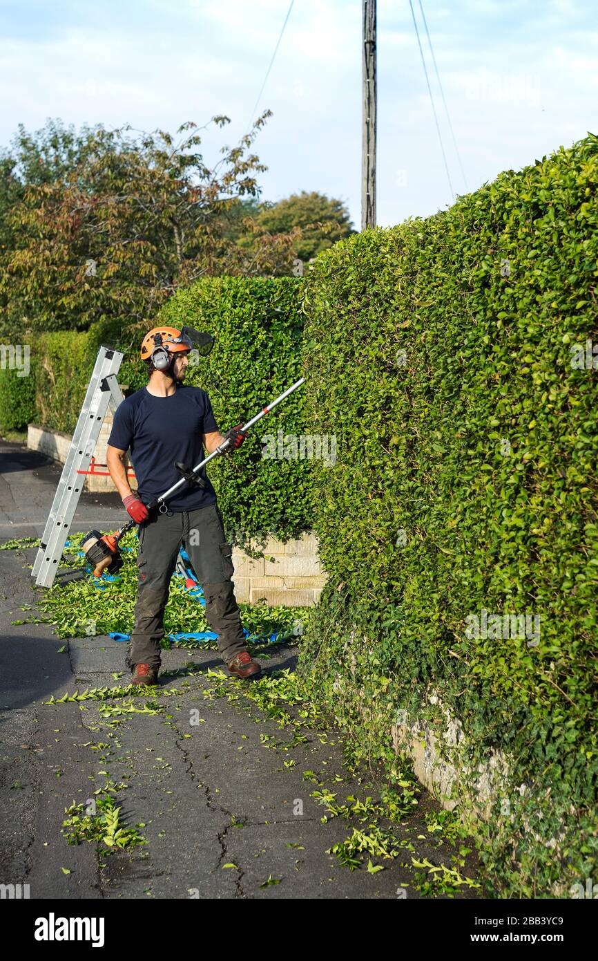 Hedge trimmer maintenance hi-res stock photography and images - Alamy