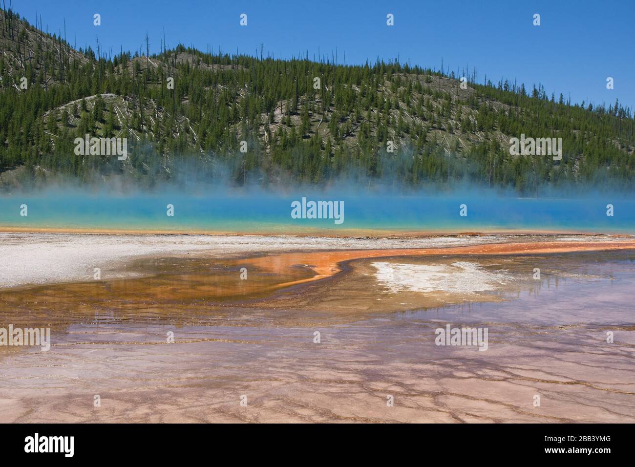 Grand Prismatic Pool in Yellowstone National Park in Wyoming Stock ...