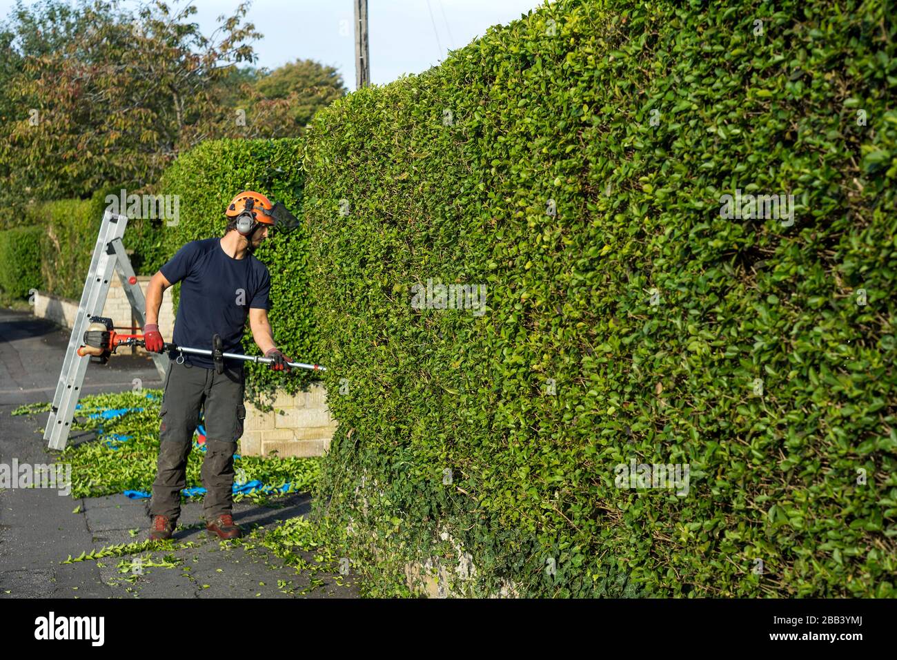 Landscaping hedge hi-res stock photography and images - Alamy