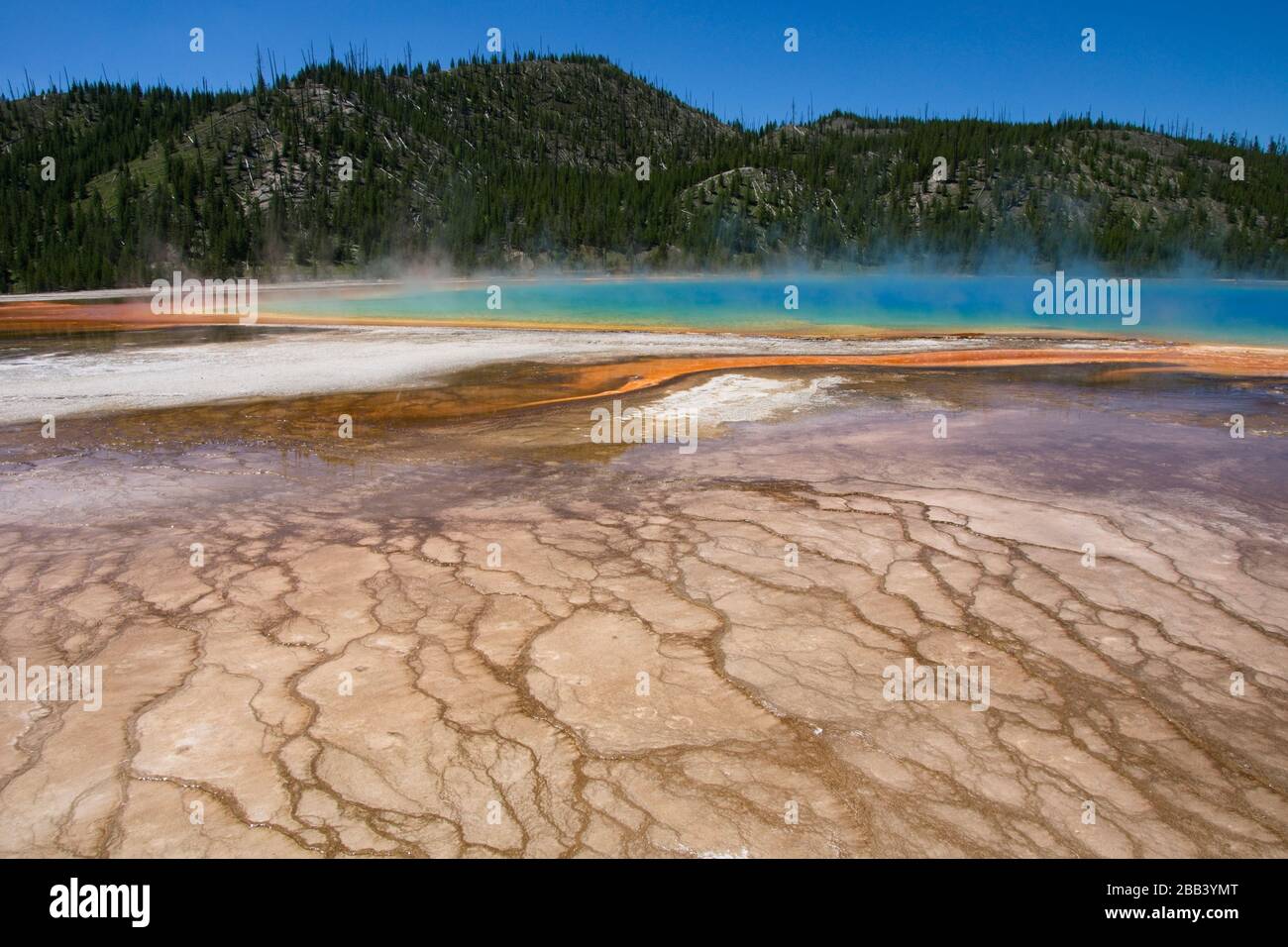 Grand Prismatic Pool in Yellowstone National Park in Wyoming Stock ...