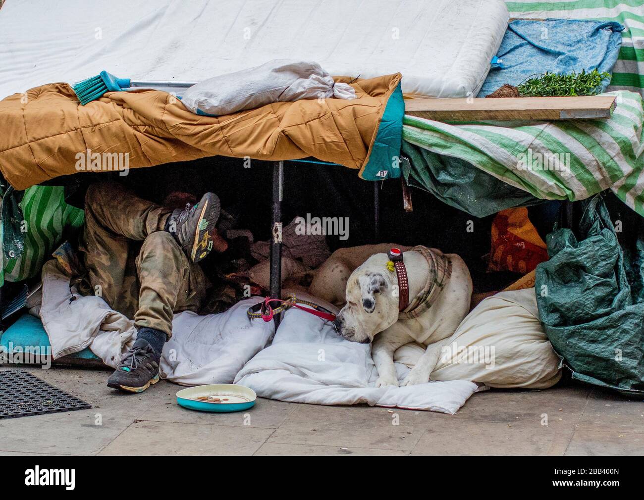 Homeless man in improvised tent/shelter with dog; George Street, Oxford ...
