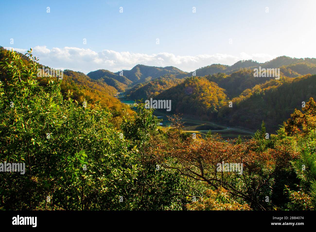 The mountains and the woods above the city of Toyooka Japan Toyooka ...
