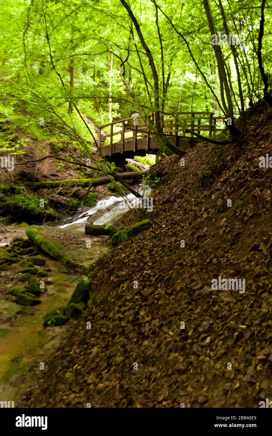 On the Hiking Trail Eifelsteig in the Eifel, Germany Stock Photo - Alamy
