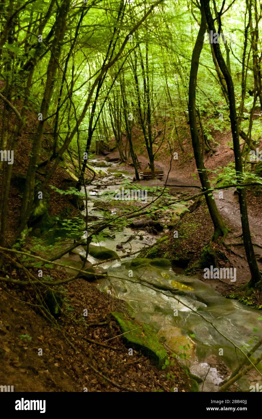 On the Hiking Trail Eifelsteig in the Eifel, Germany Stock Photo - Alamy