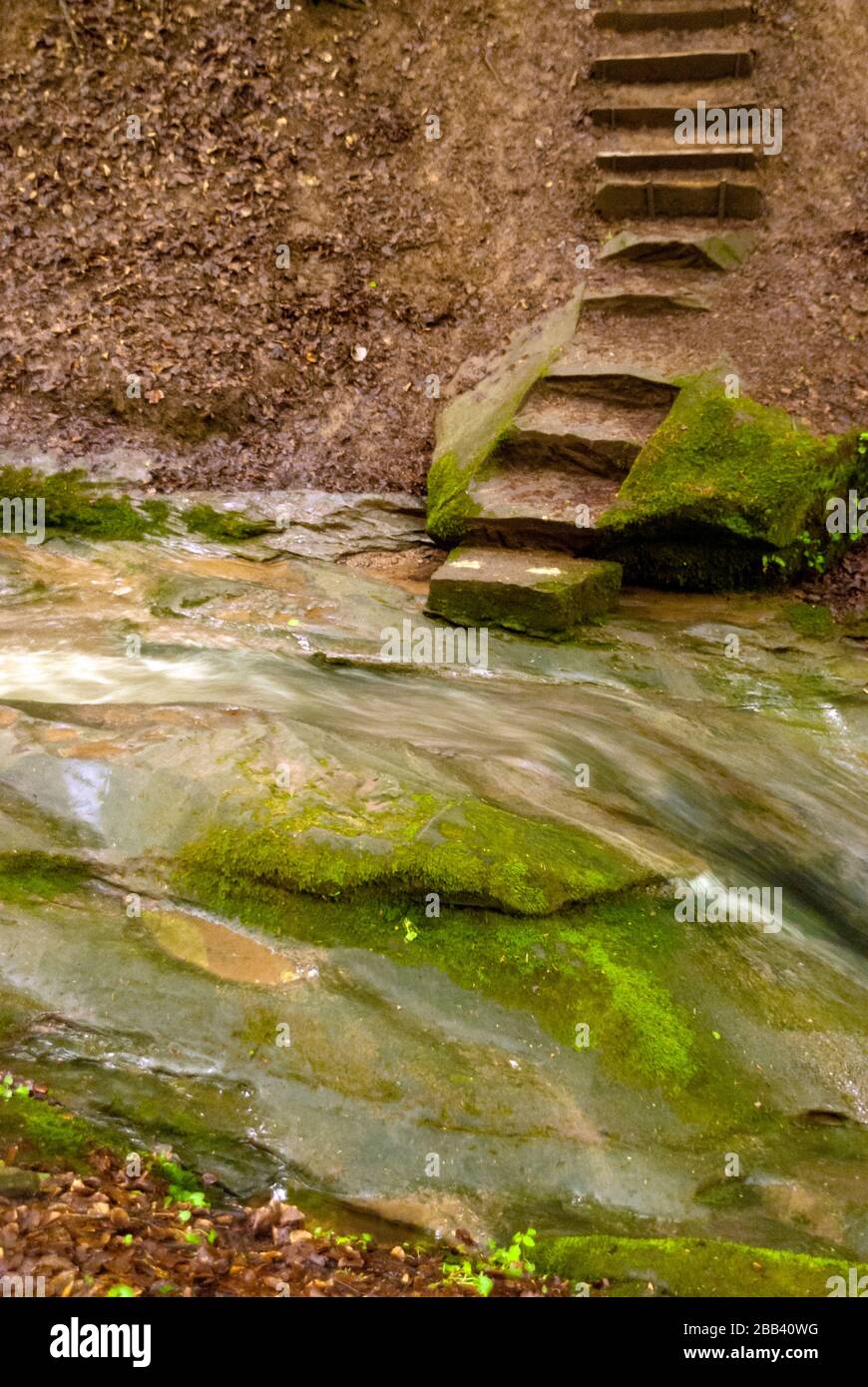 On the Hiking Trail Eifelsteig in the Eifel, Germany Stock Photo - Alamy