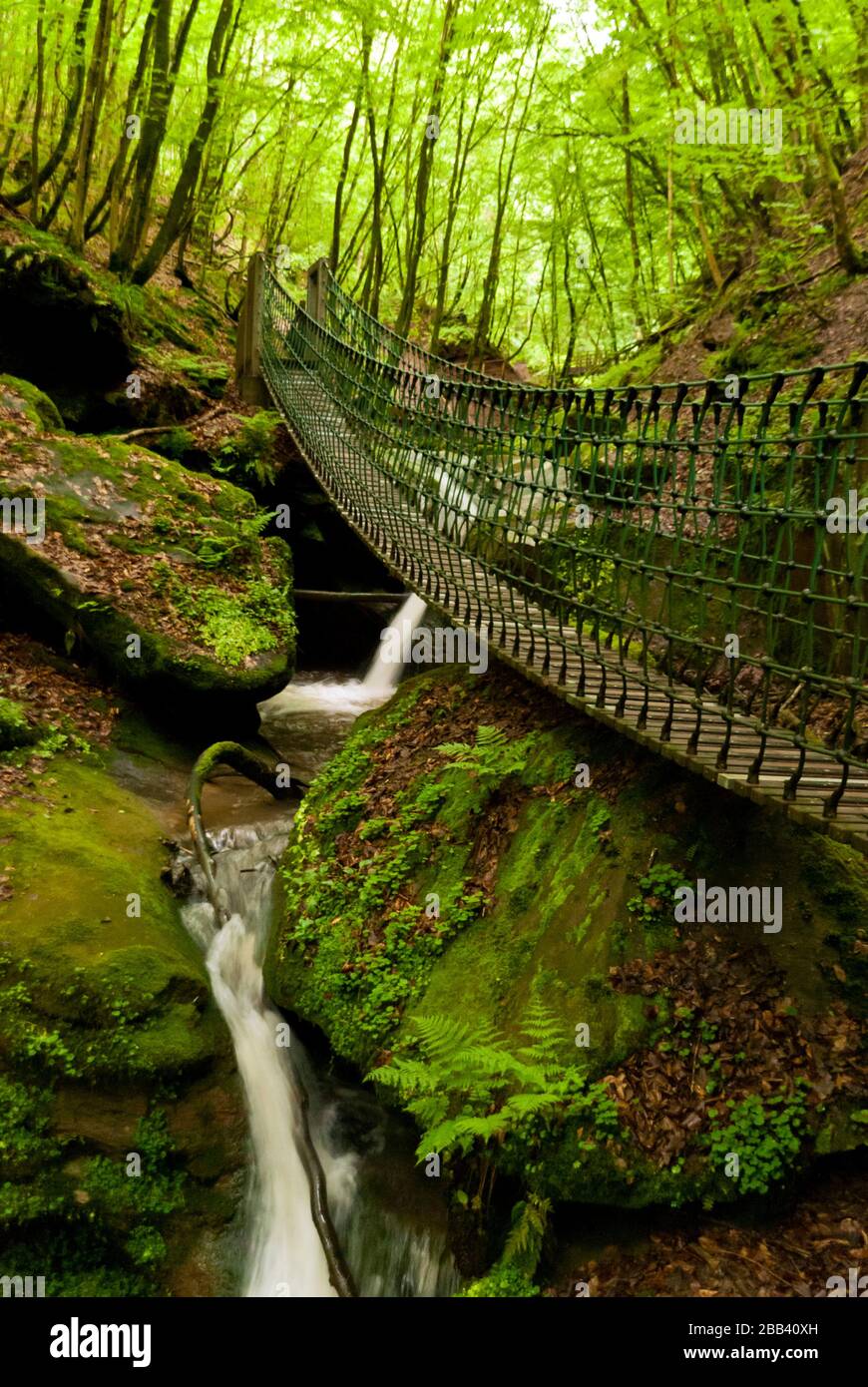 On the Hiking Trail Eifelsteig in the Eifel, Germany Stock Photo - Alamy