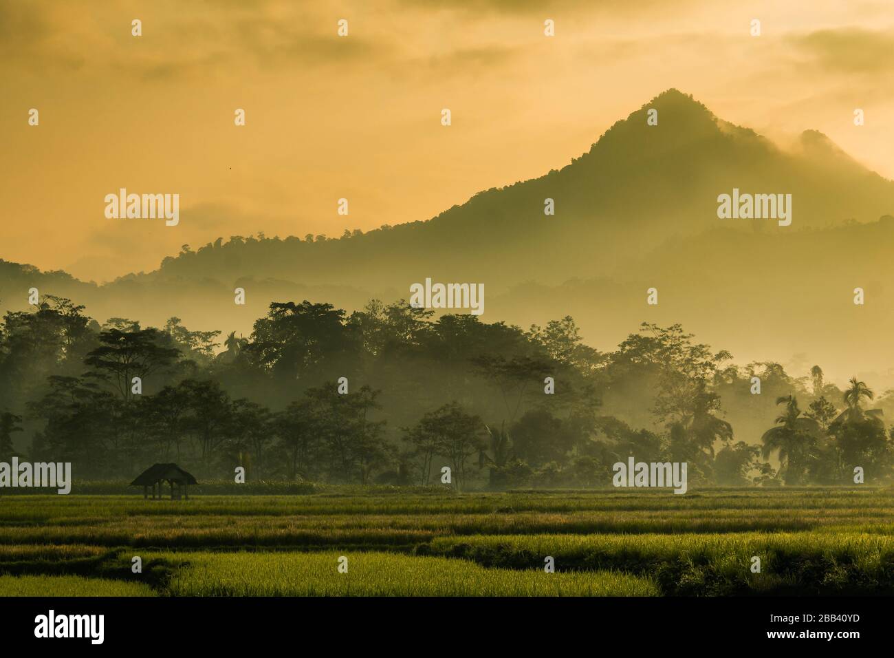 Beautiful misty scene hi-res stock photography and images - Alamy
