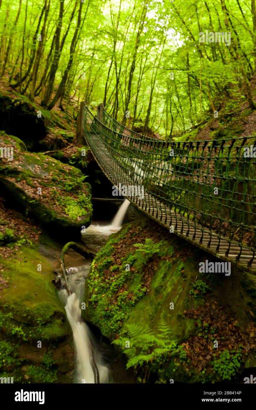 On the Hiking Trail Eifelsteig in the Eifel, Germany Stock Photo - Alamy
