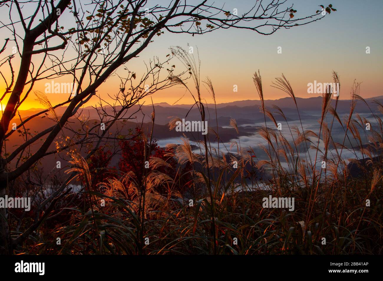 Misty morning sunrise over the bay and city of Toyooka (Toyooka-shi) is ...