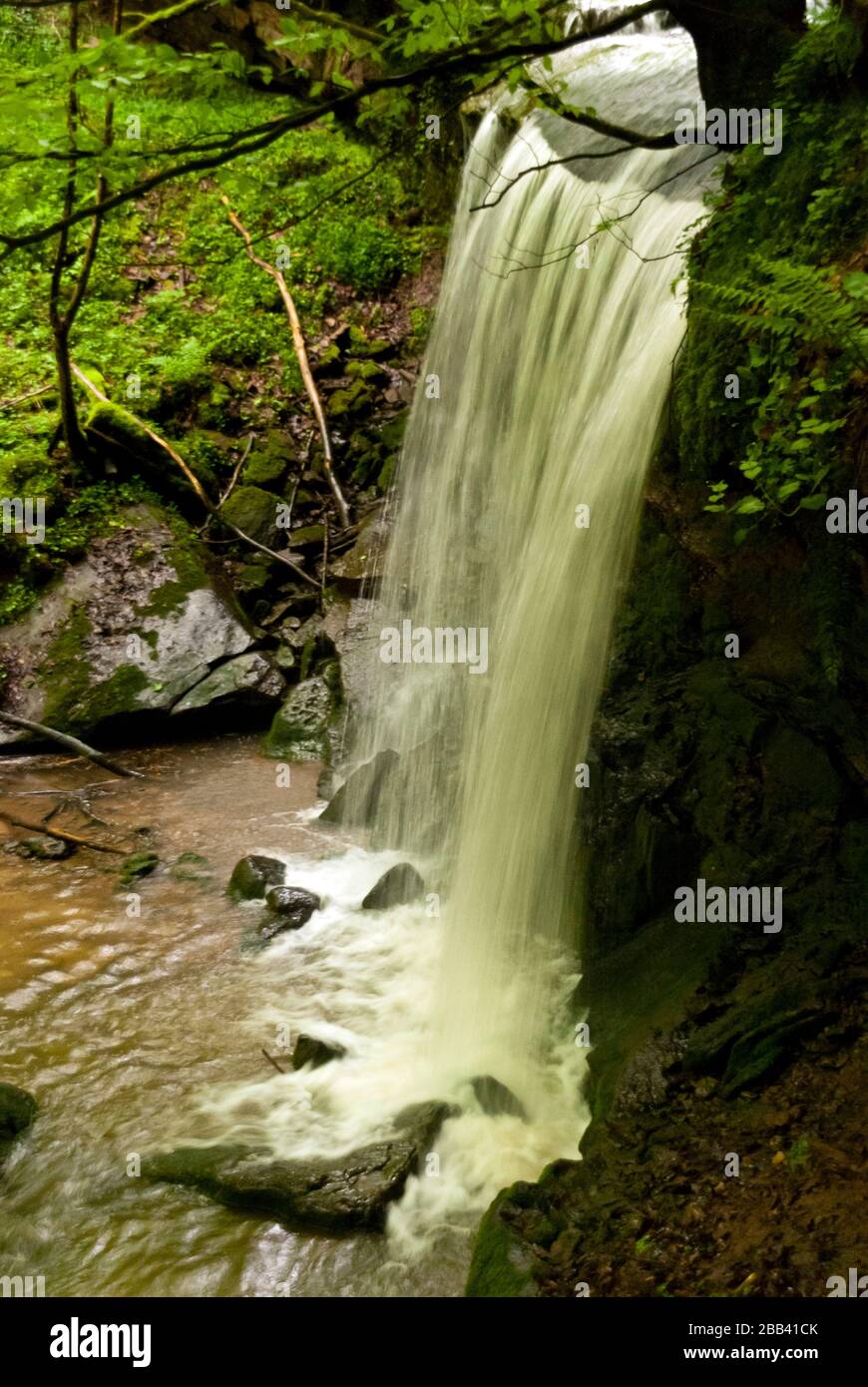 On the Hiking Trail Eifelsteig in the Eifel, Germany Stock Photo - Alamy