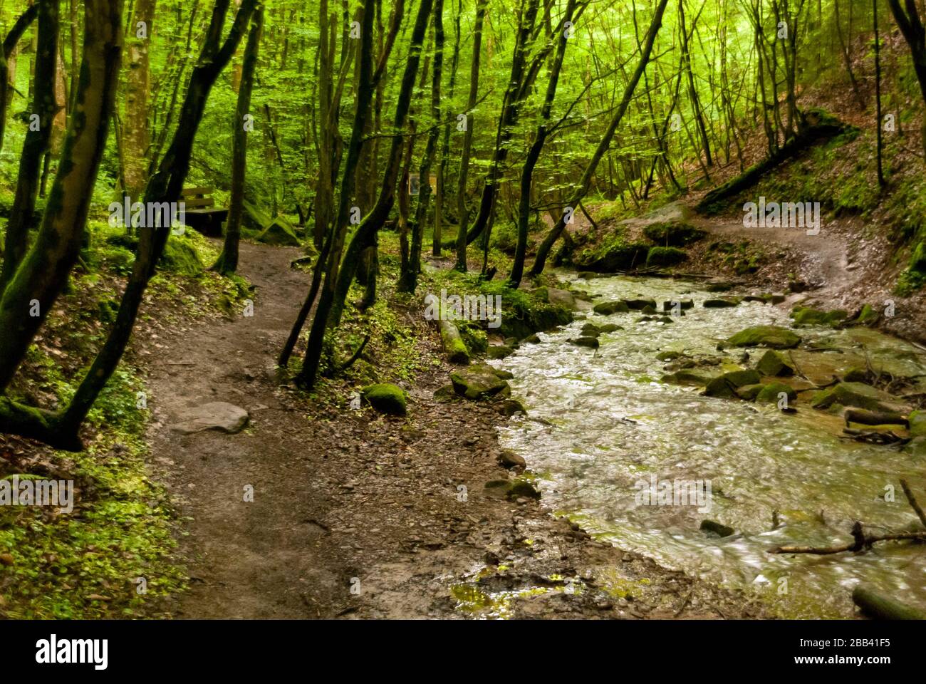 On the Hiking Trail Eifelsteig in the Eifel, Germany Stock Photo - Alamy