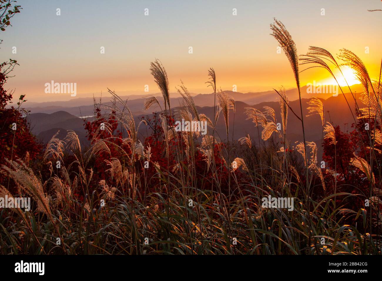 Misty morning sunrise over the bay and city of Toyooka (Toyooka-shi) is ...