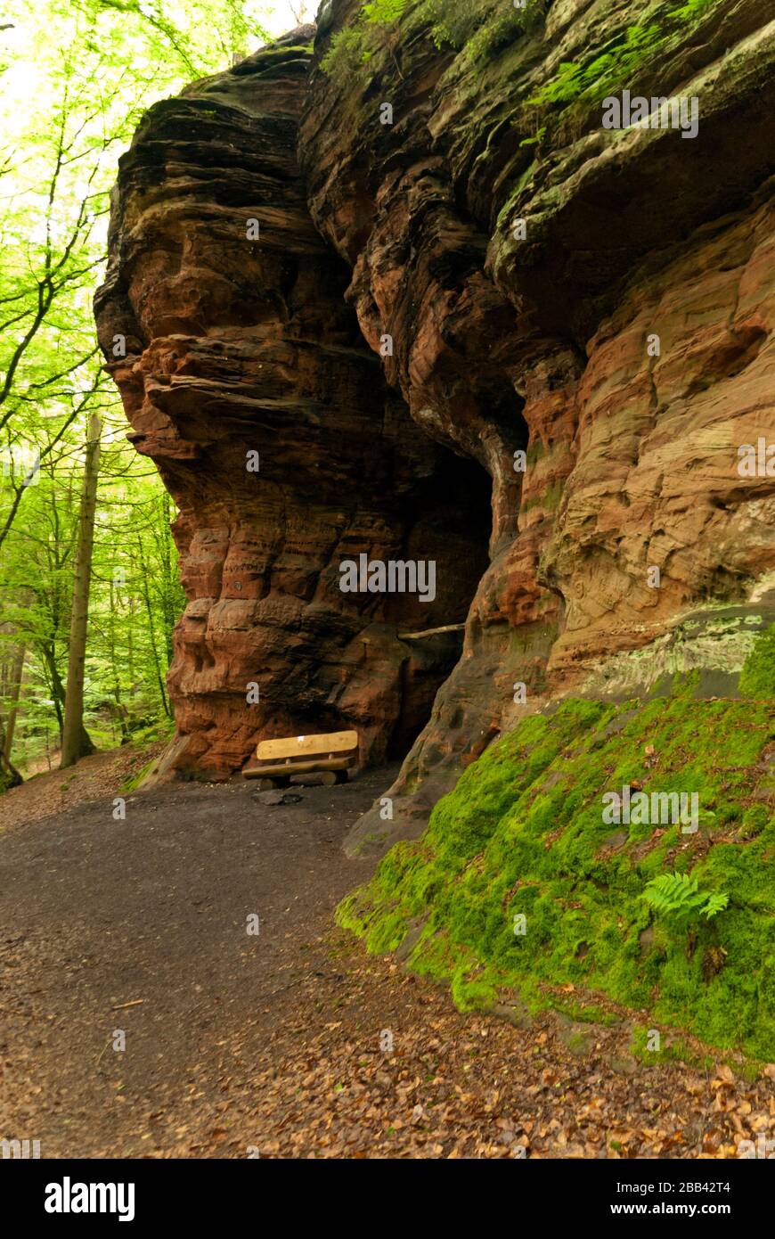 On the Hiking Trail Eifelsteig in the Eifel, Germany Stock Photo - Alamy