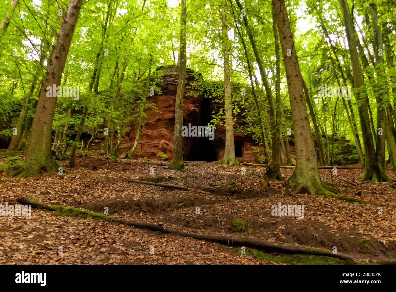On the Hiking Trail Eifelsteig in the Eifel, Germany Stock Photo - Alamy