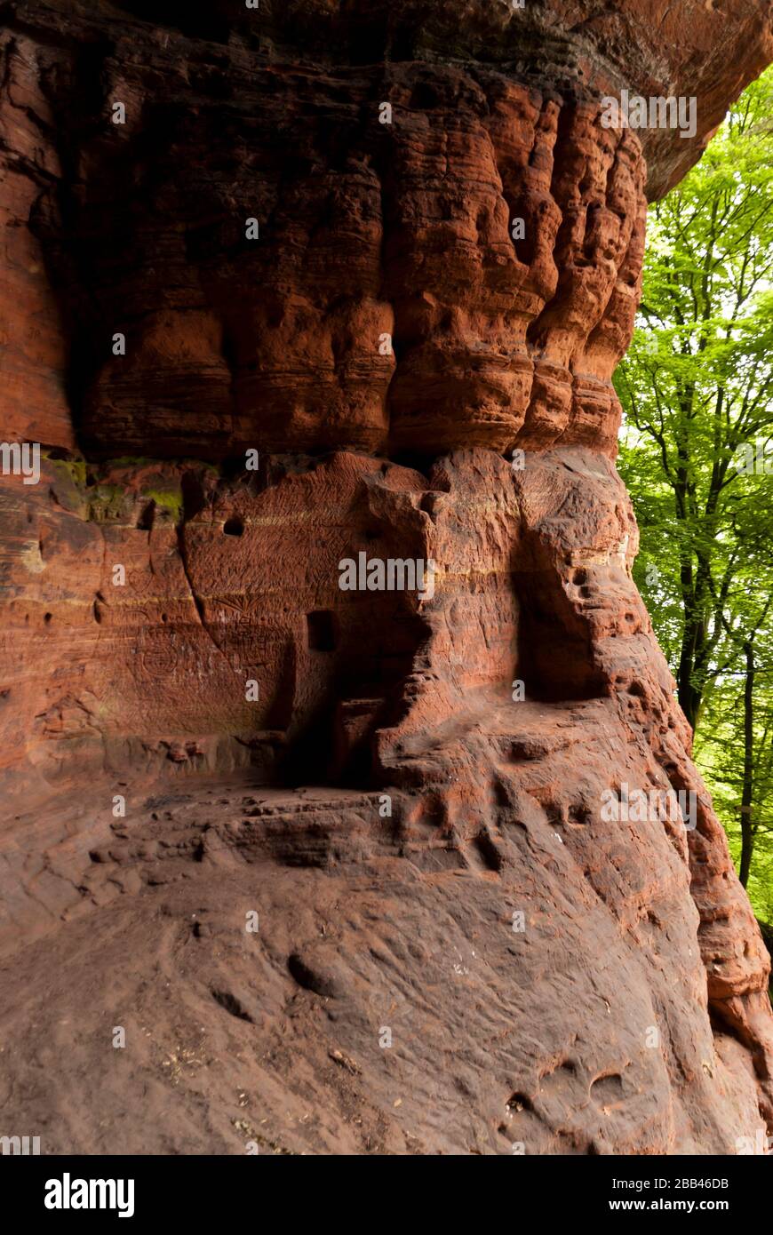 On the Hiking Trail Eifelsteig in the Eifel, Germany Stock Photo - Alamy