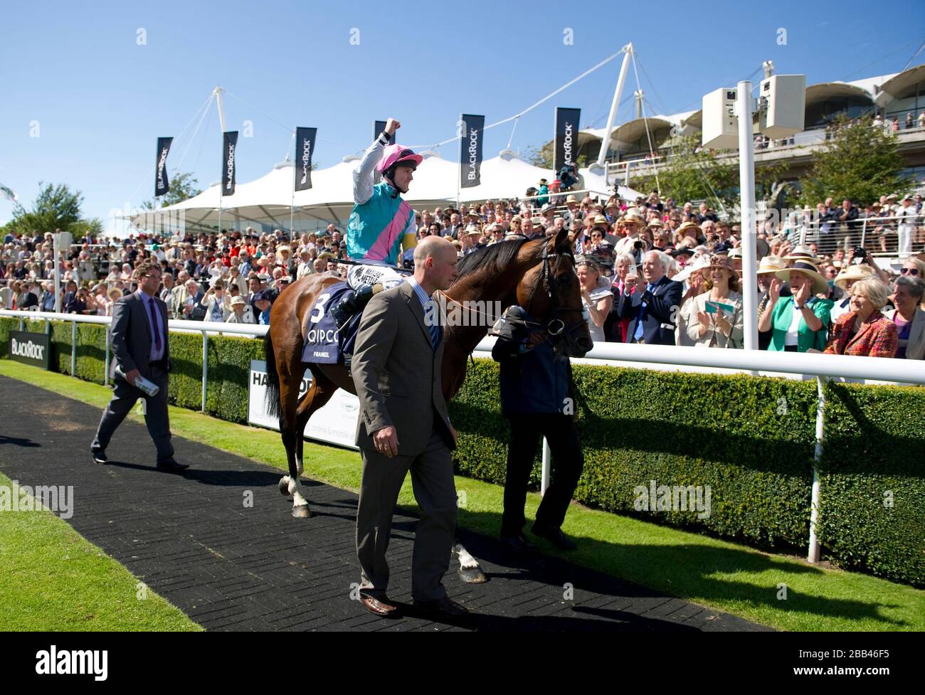 Tom Queally celebrates winning the Qipco Sussex stakes on Frankel Stock ...