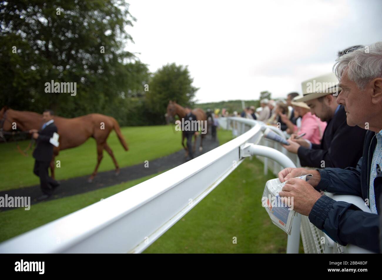 Horses led around parade ring hi-res stock photography and images - Alamy