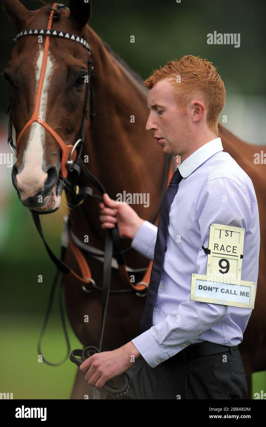 Horses led around parade ring hi-res stock photography and images - Alamy