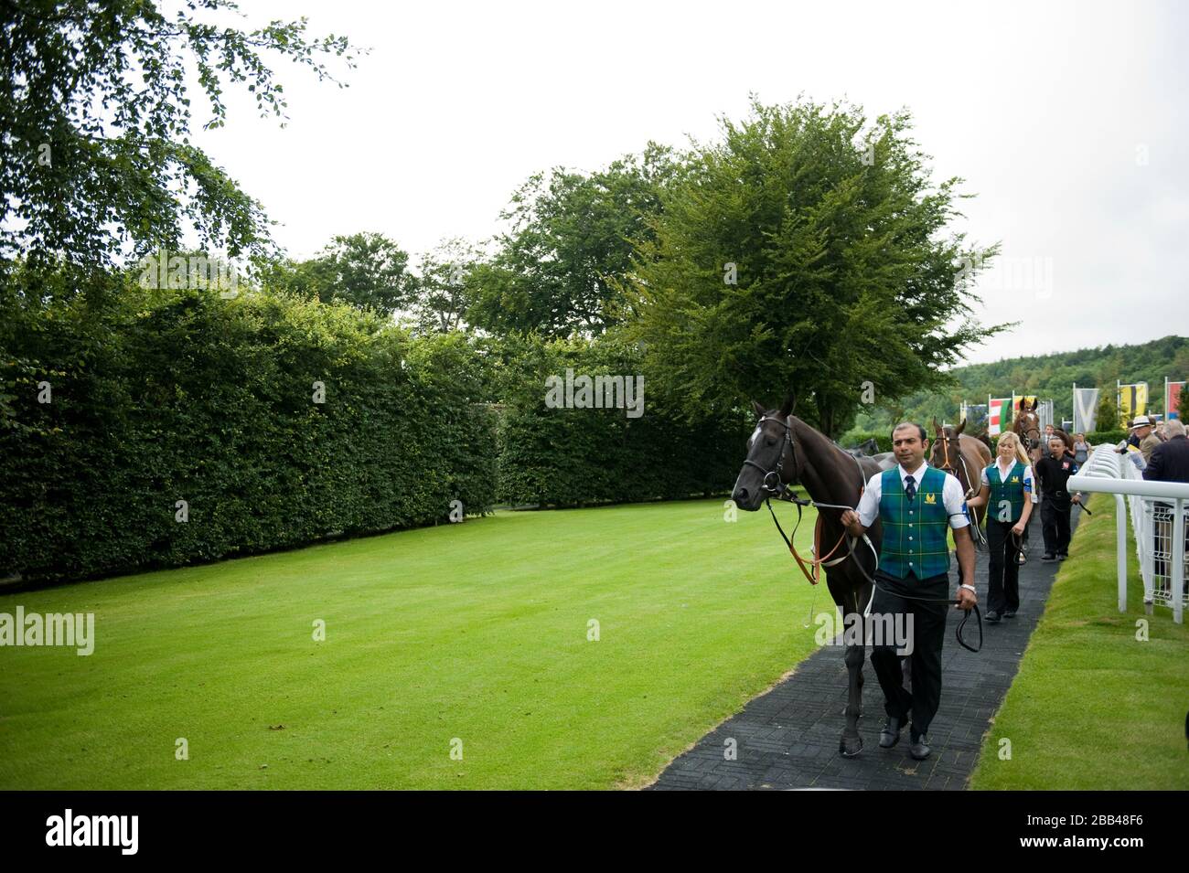 Horses led around parade ring hi-res stock photography and images - Alamy
