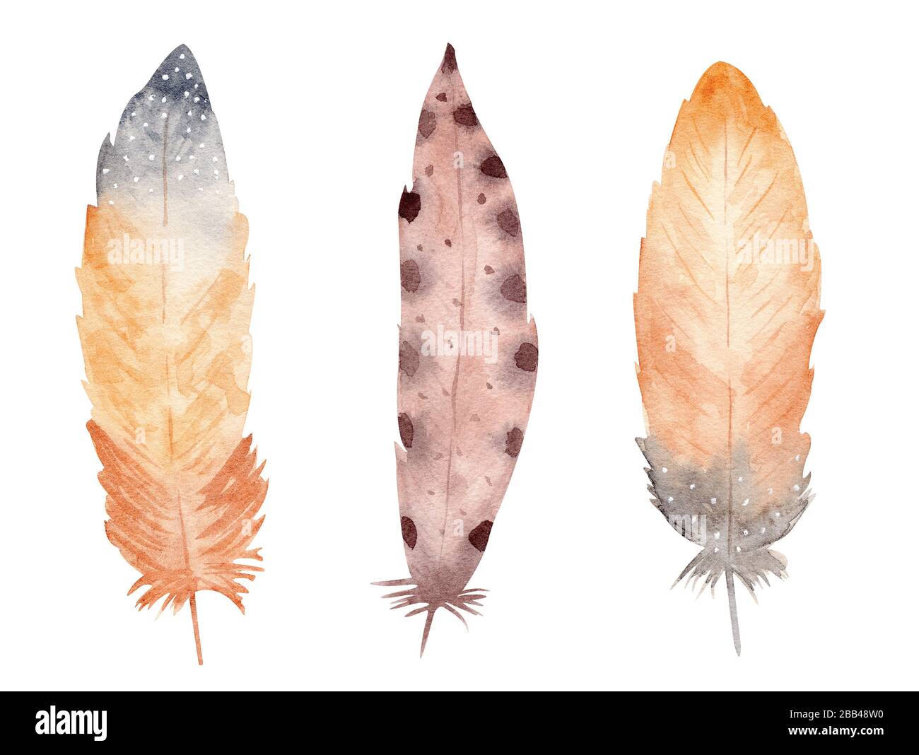 Watercolor Feather Clip Art