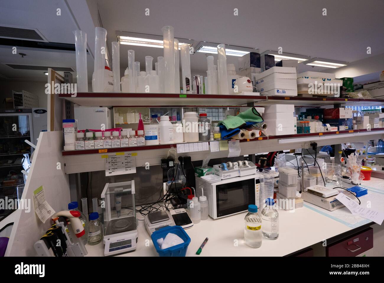 Lab virus hi-res stock photography and images - Alamy