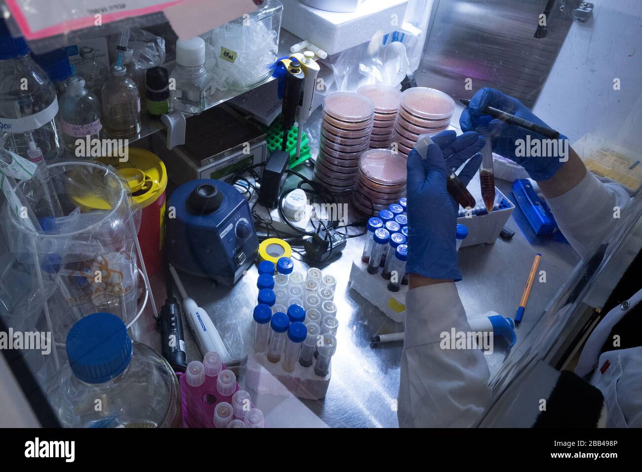 Virus testing laboratory Stock Photo - Alamy