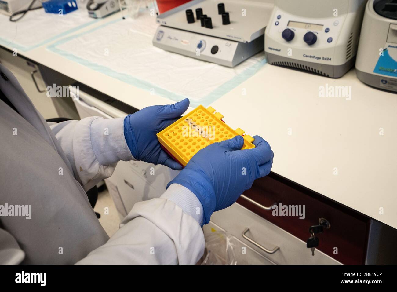 Virus testing laboratory Stock Photo - Alamy
