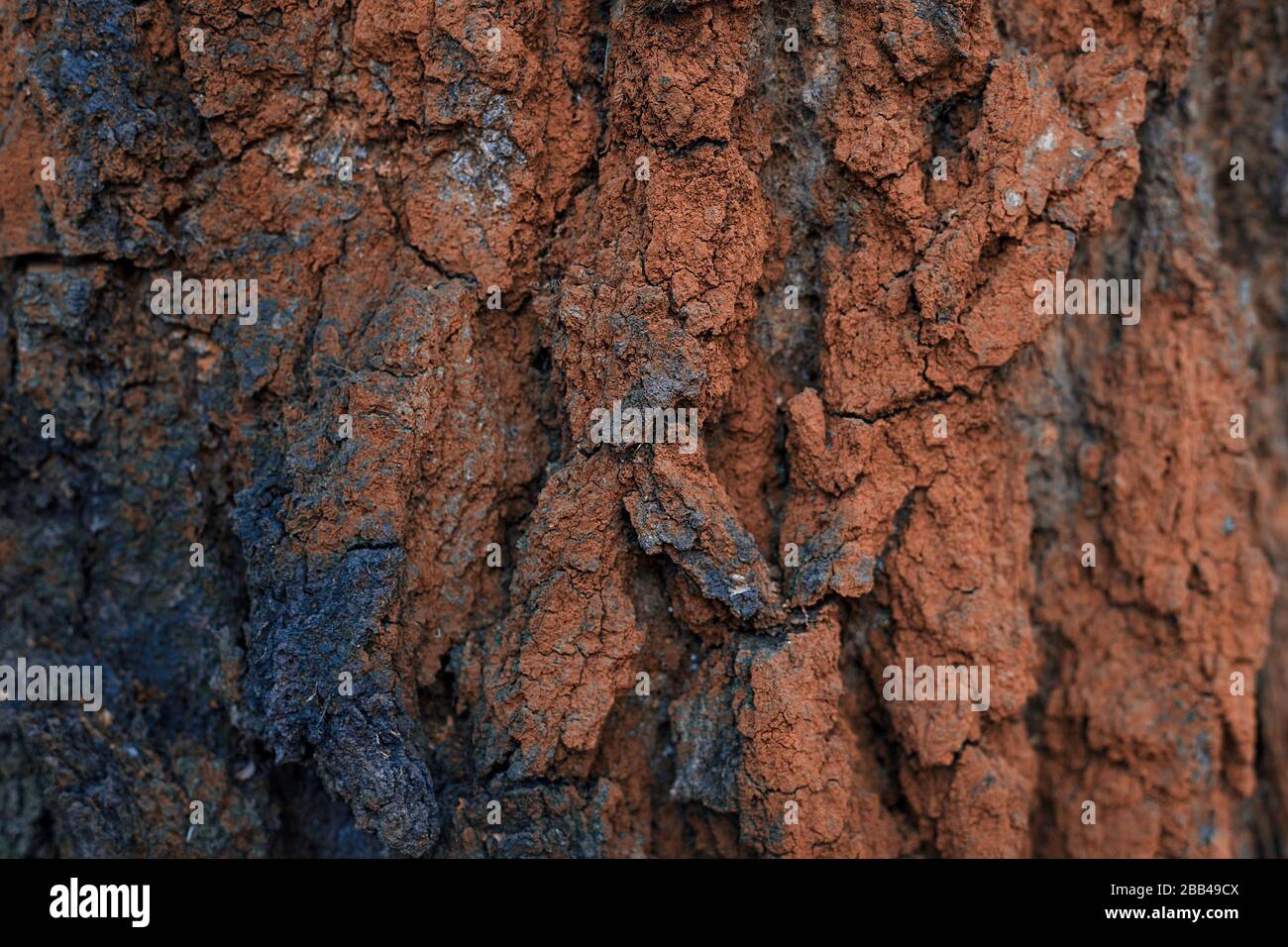 Crumbling texture hi-res stock photography and images - Alamy