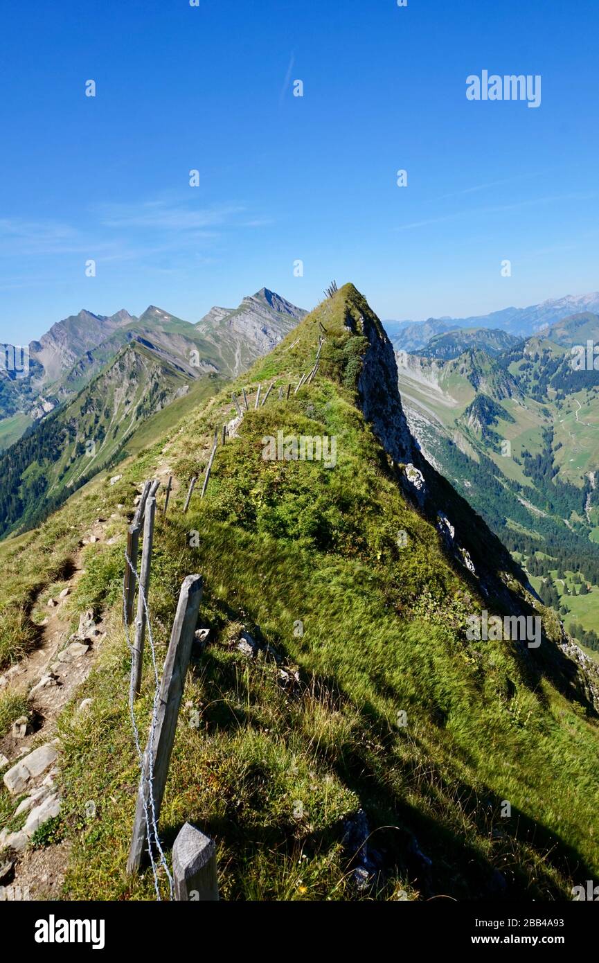 Ridge hike in Switzerland Stock Photo - Alamy
