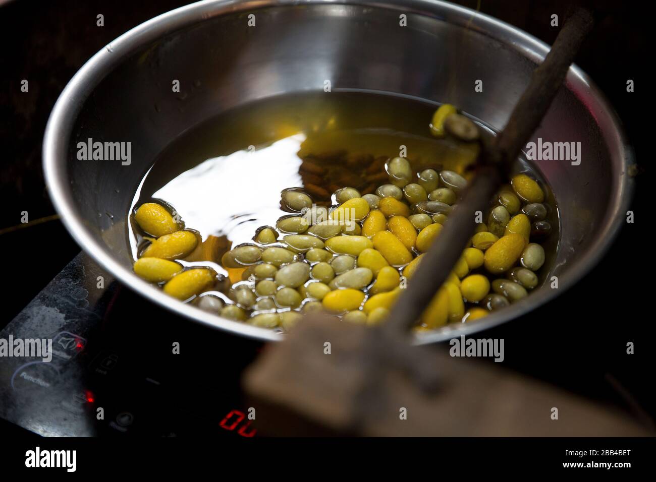 Boiling silkworm cocoons in Hoi An's Silk Village Stock Photo - Alamy