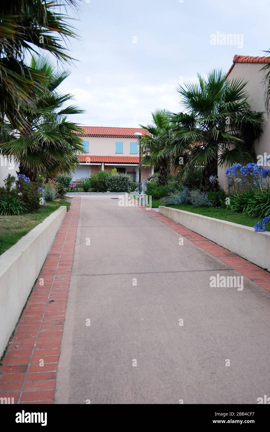 Beautiful villas with a flowery path and palm trees in Provence ...