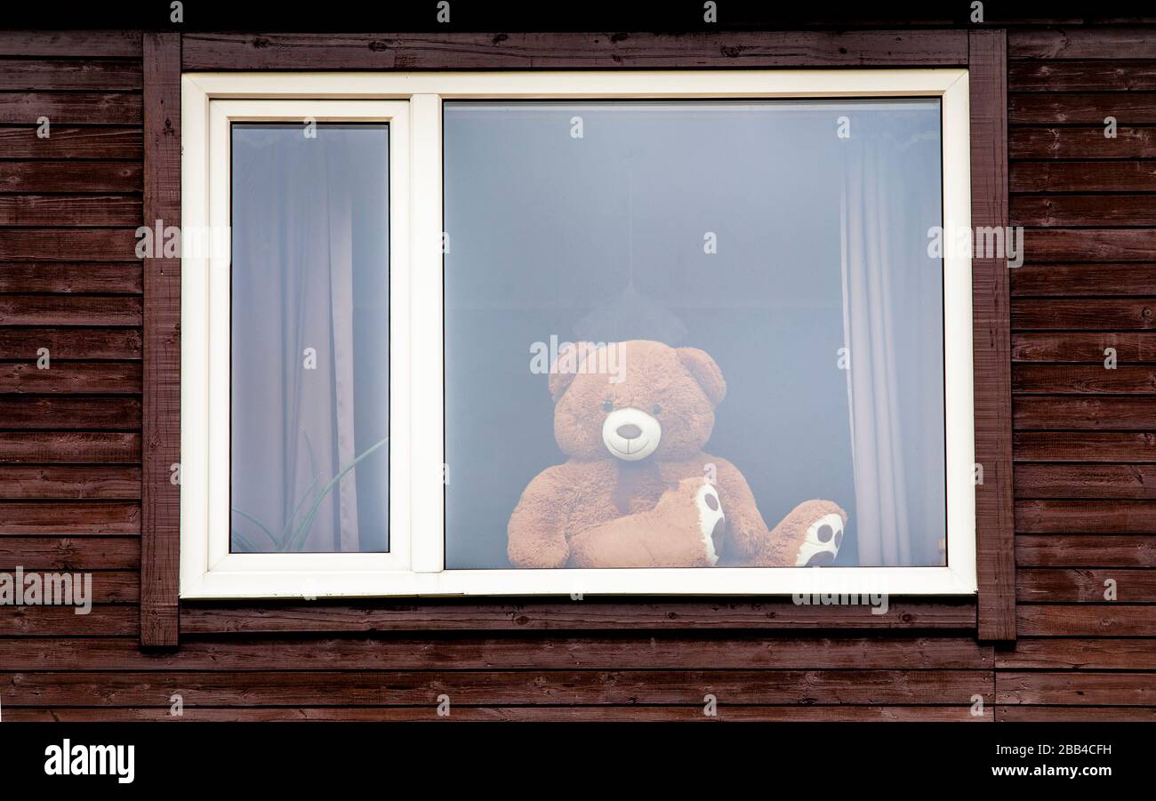 Going on a bear hunt concept. Large stuffed toy teddy bear sit on ...