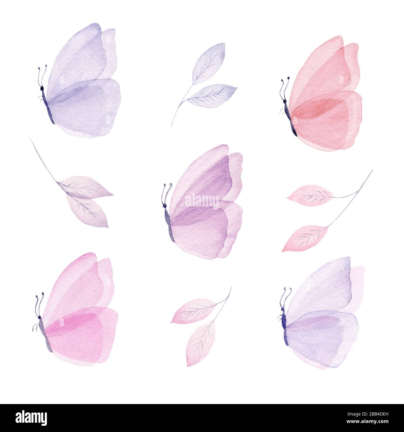 Set of watercolor illustrations with butterfly and leaf. Hand painted ...