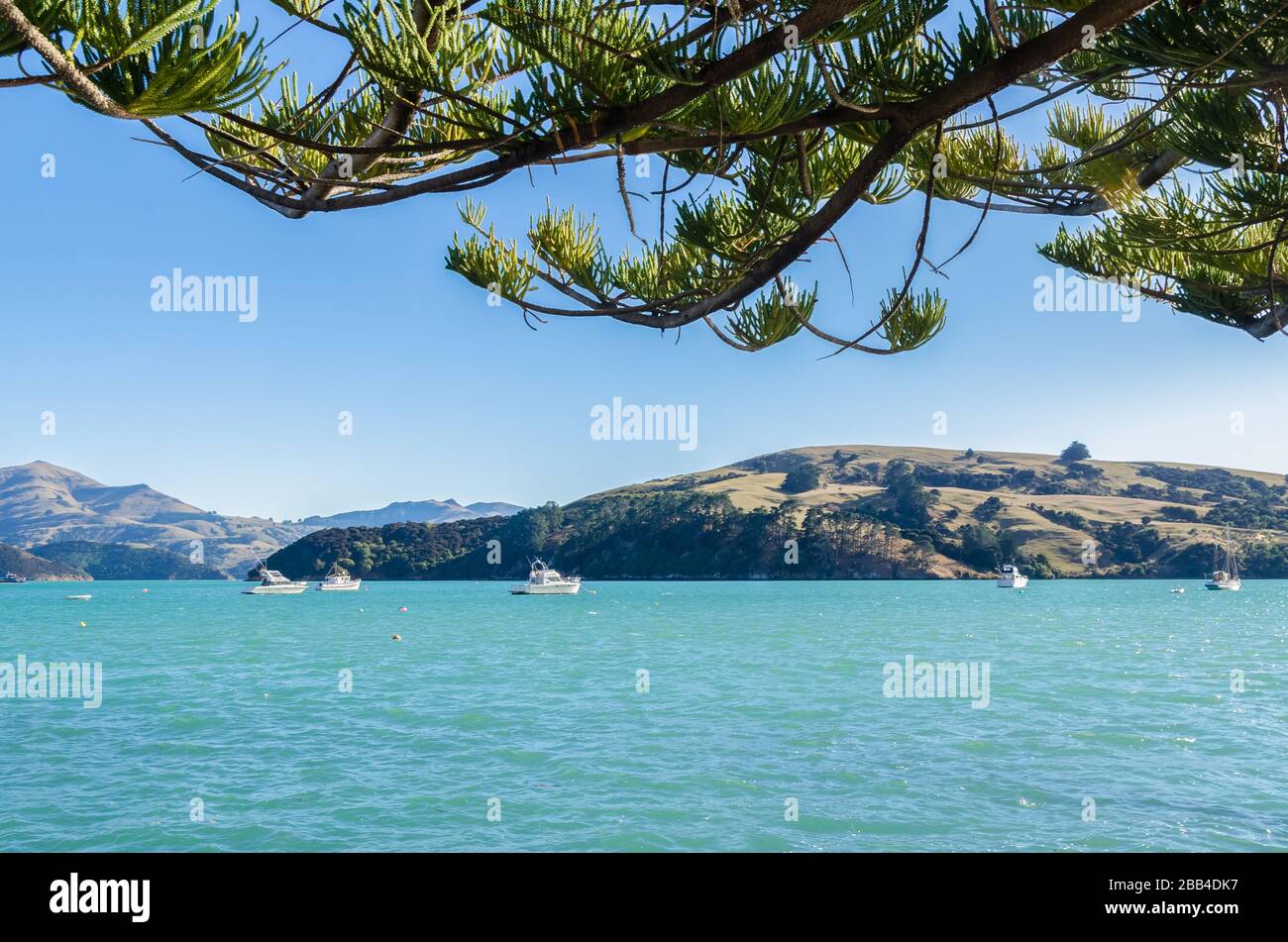Akaroa wharf christchurch new zealand hi-res stock photography and ...