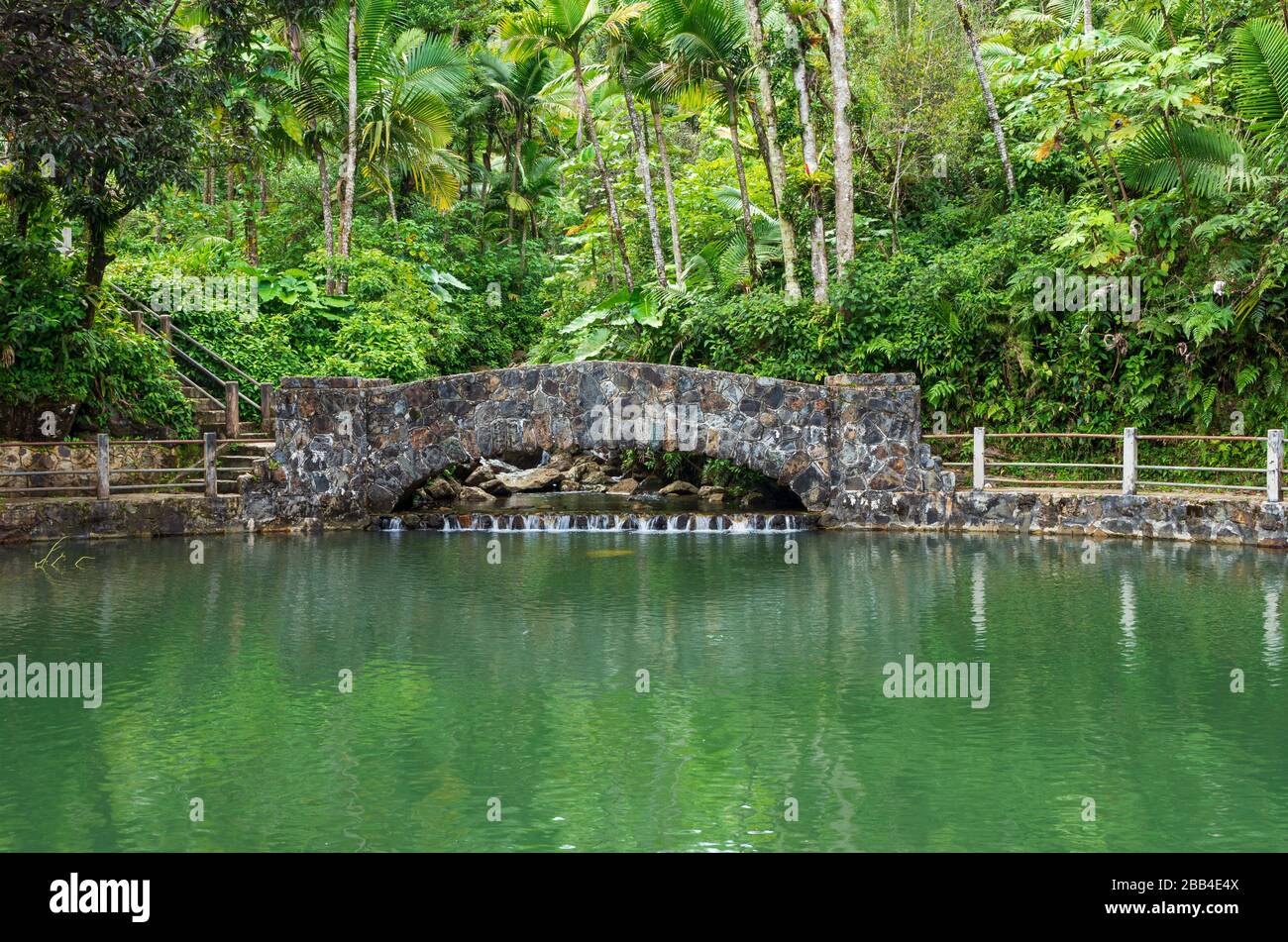 bridge spanning stream at edge of pool on bano de oro trail in el ...