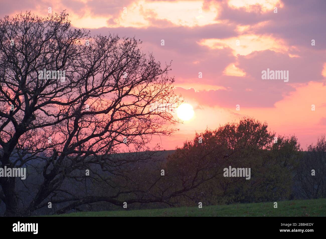 Parco di Veio, a regional park in the province of Rome, at sunset Stock ...