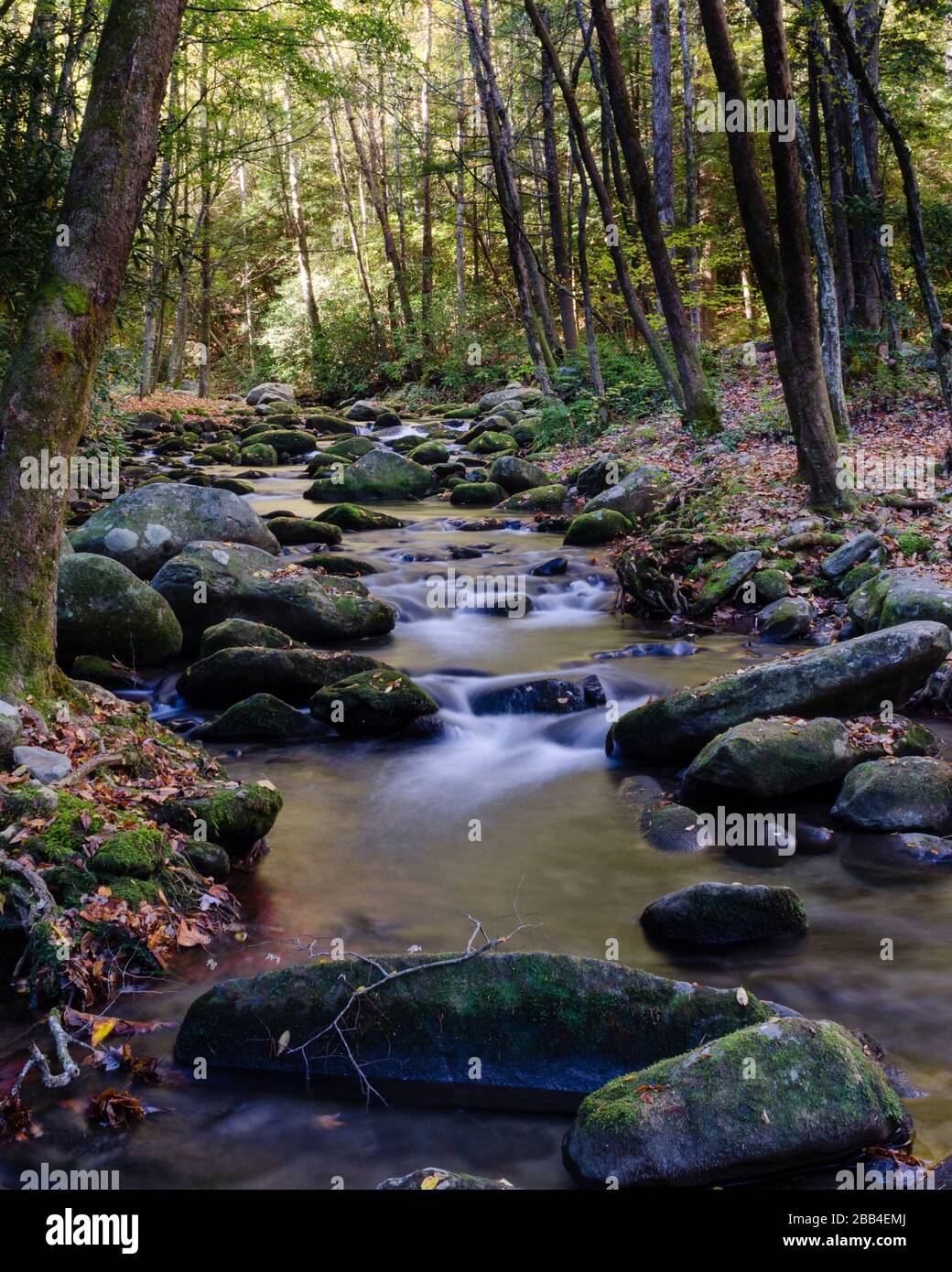 Gentle stream cascades over rocks in the Great Smoky Mountains National ...