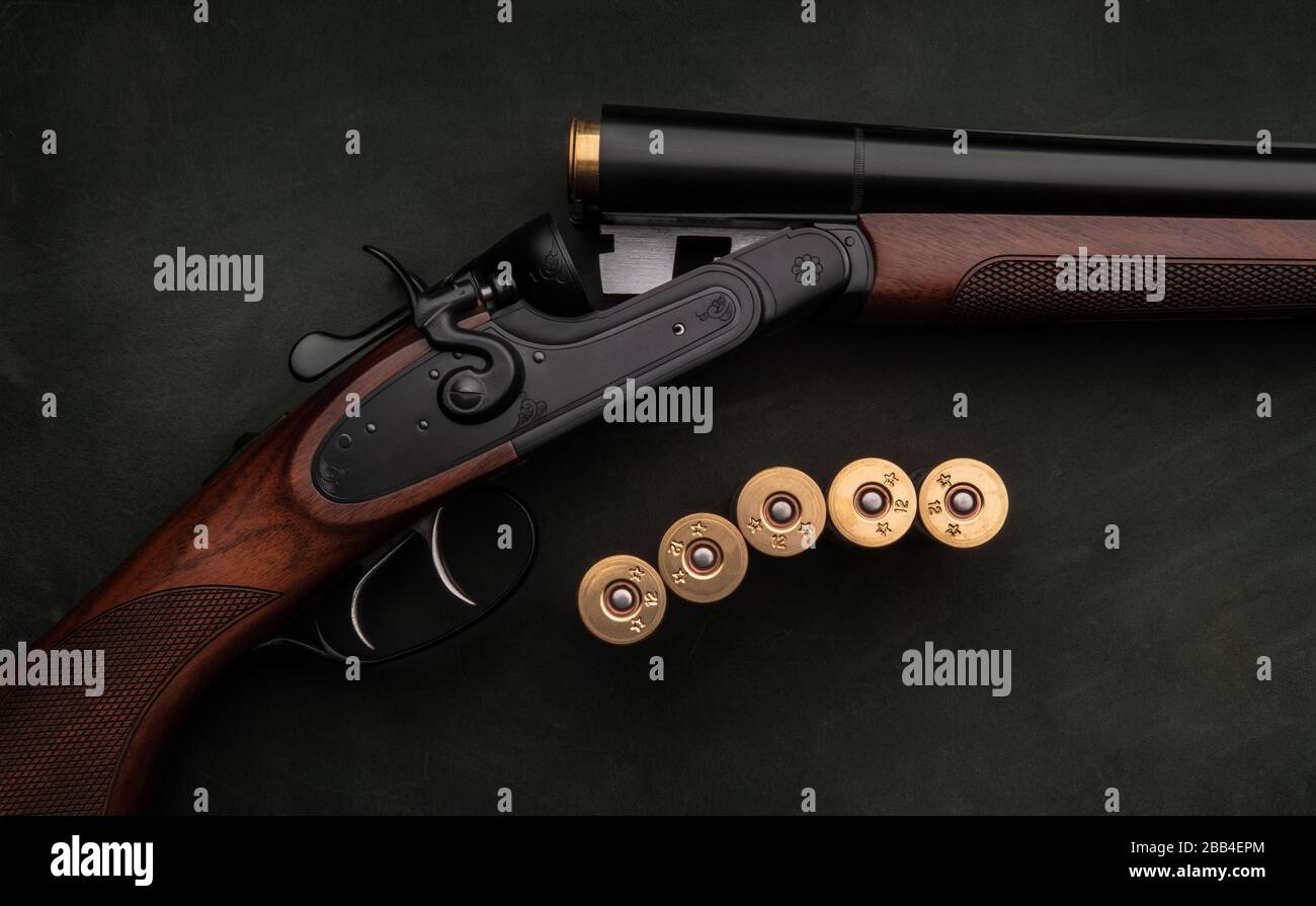 Classic trigger double-barreled hunting rifle on a green background ...
