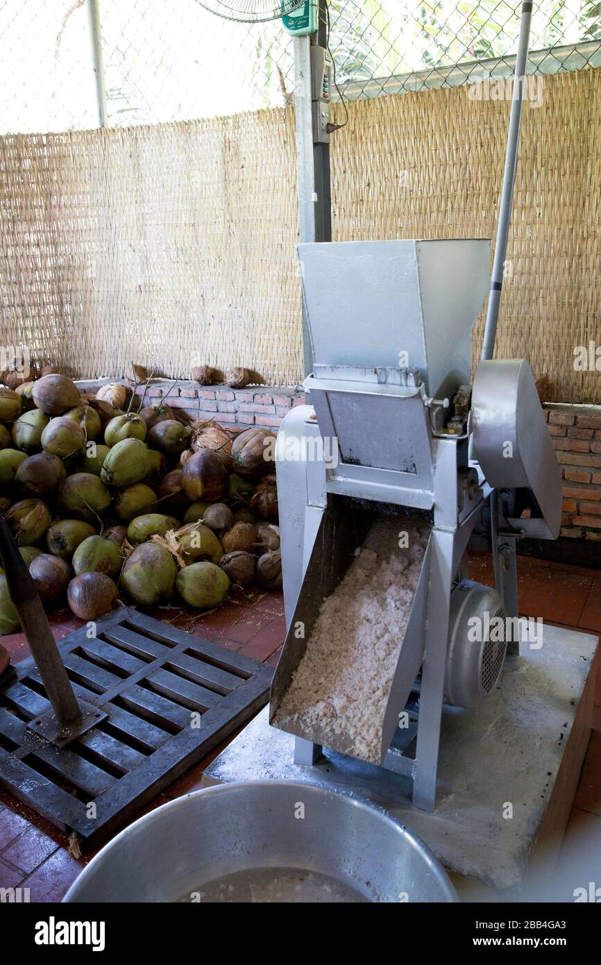 A machine processes the coconuts to extract the milk Stock Photo - Alamy