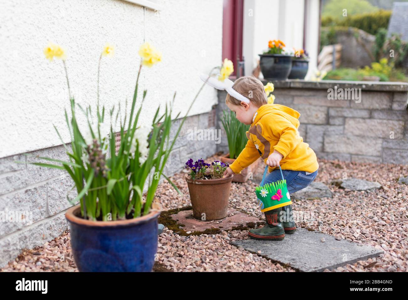 Easter bunny uk hi-res stock photography and images - Alamy