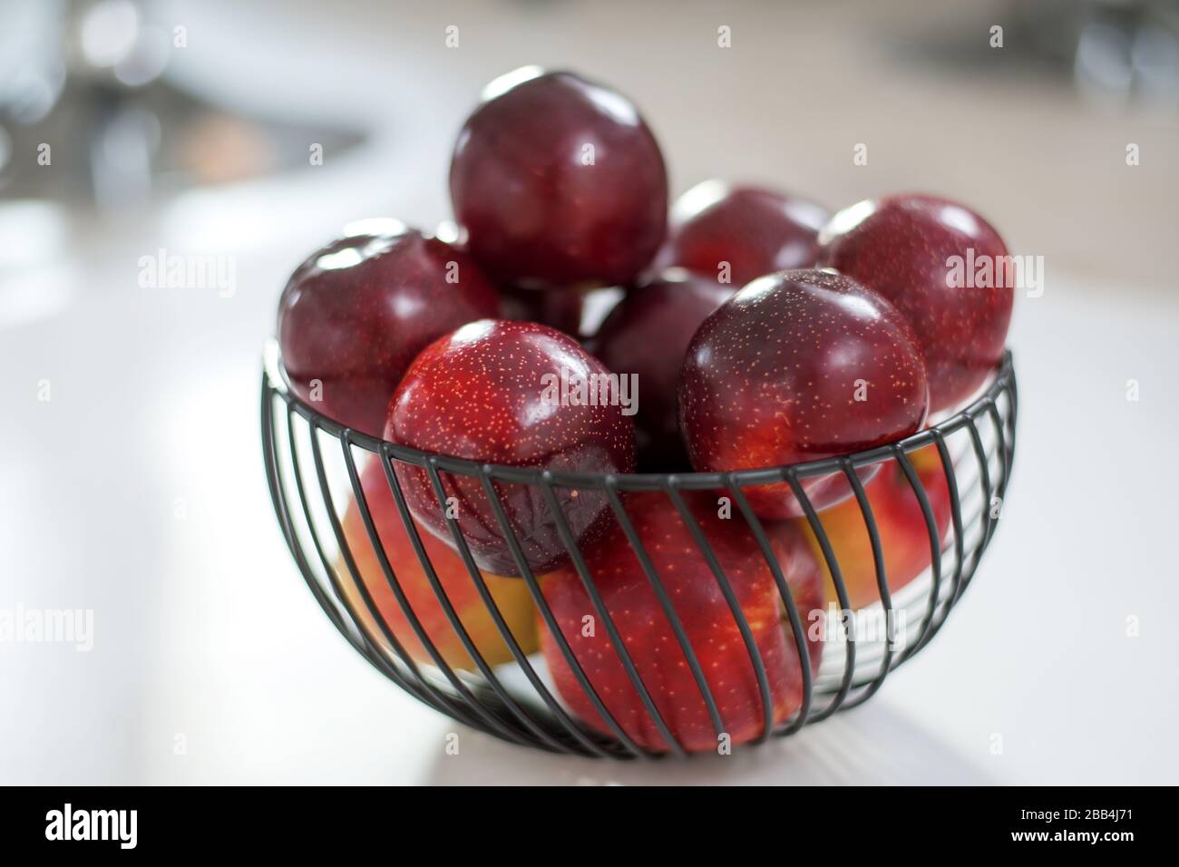 fresh round purple plums, in a black fruit bowl, on a grey background ...