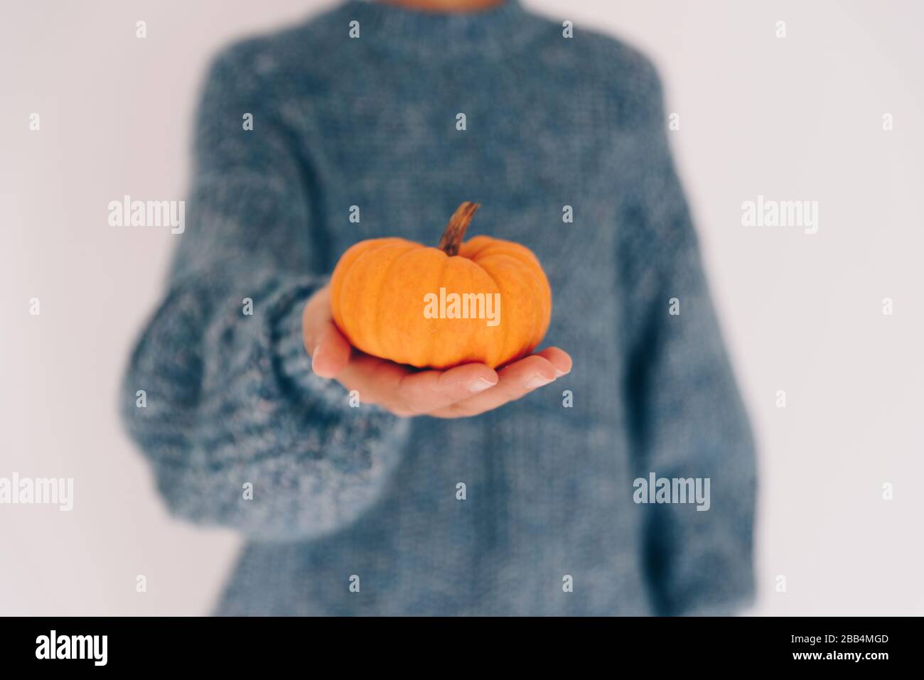 Women's hands holding pumpkin. Halloween, Thanksgiving day Stock Photo ...